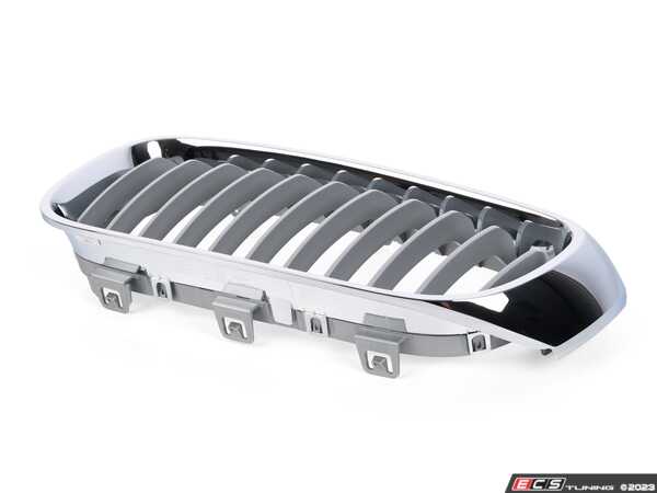 Genuine BMW - 51137294809 - Front Grill - Left - Modern (51-13-7-294-809)