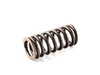 Genuine Volkswagen Audi - 06F109623 - Valve Spring - Priced Each (06F ...