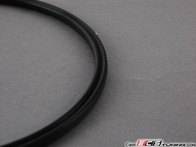 Genuine BMW - 16146766158 - Fuel Filter - In Tank (16-14-6-766-158)