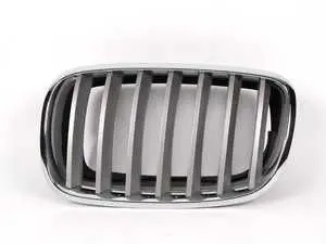 Genuine BMW - 51416970168 - E70 X5 Beige Front Door Pull Trim - Right ...