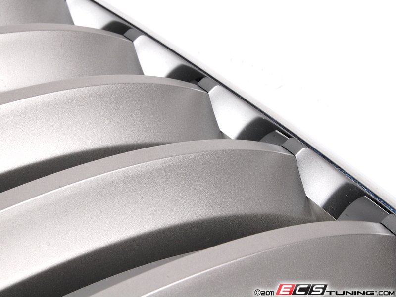 Genuine BMW - 51137185223 - Front Grill - Left - Titan (51-13-7-185-223)