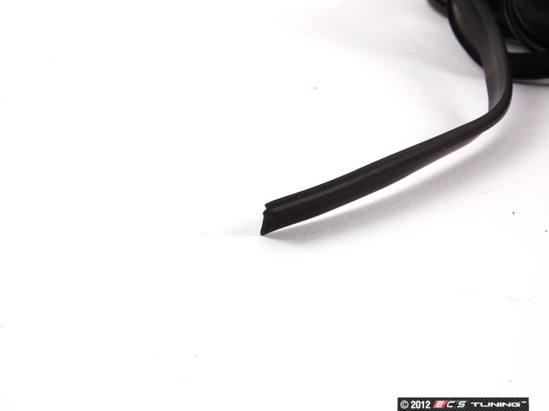 Genuine BMW - 51137124253 - E90 Roof Molding - left (51-13-7-124-253)
