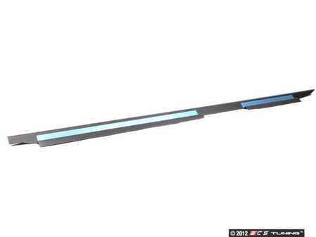 Genuine Volkswagen Audi - 8D0853492F01C - Door Sill Moulding - Satin ...