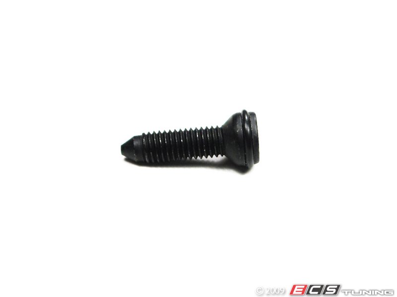 Genuine BMW - 54218410534 - Torx Bolt - priced each (54-21-8-410-534)