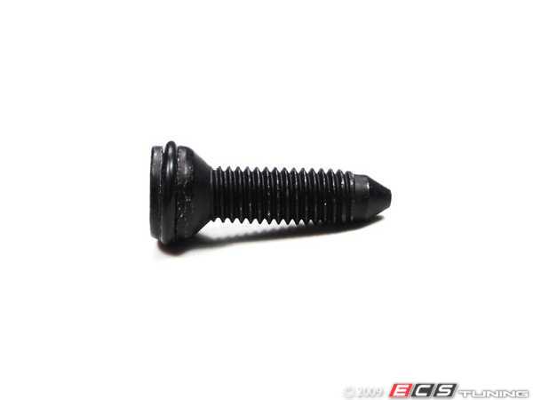 Genuine BMW - 54218410534 - Torx Bolt - priced each (54-21-8-410-534)