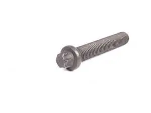 Genuine Porsche - 9A700751700 - Tapping Torx Screw - Priced Each