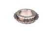 Genuine MINI - 11217588996 - Crankshaft Gear (11-21-7-588-996)