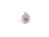Genuine BMW - 07129905537 - ISA Screw With Washer (07-12-9-905-537)