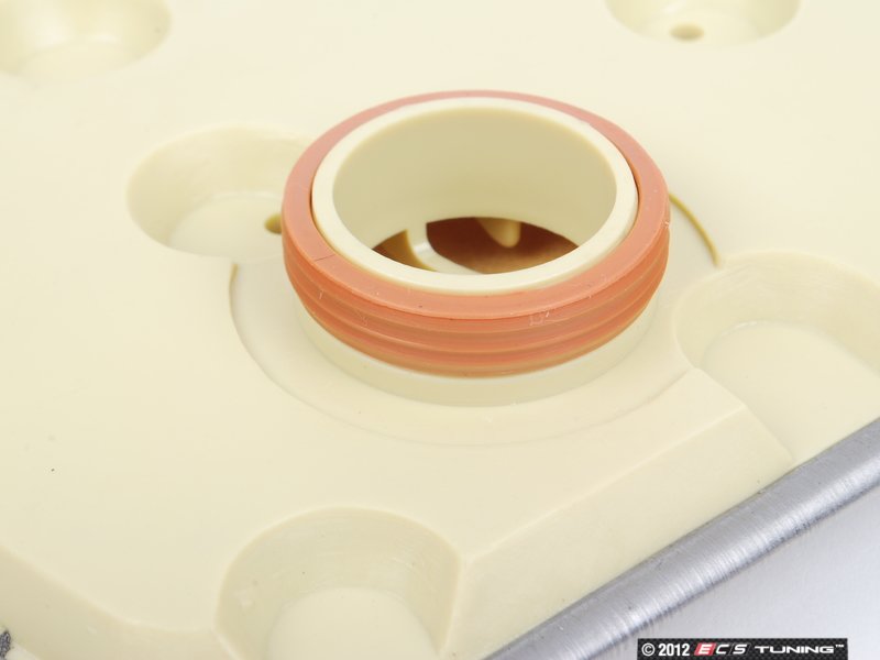 Rein - 01M325429 - Automatic Transmission Filter