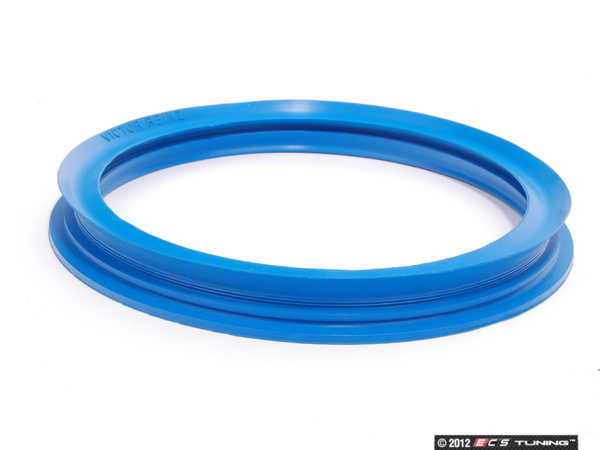 Victor Reinz - 16111184084 - E46 Fuel Pump Gasket