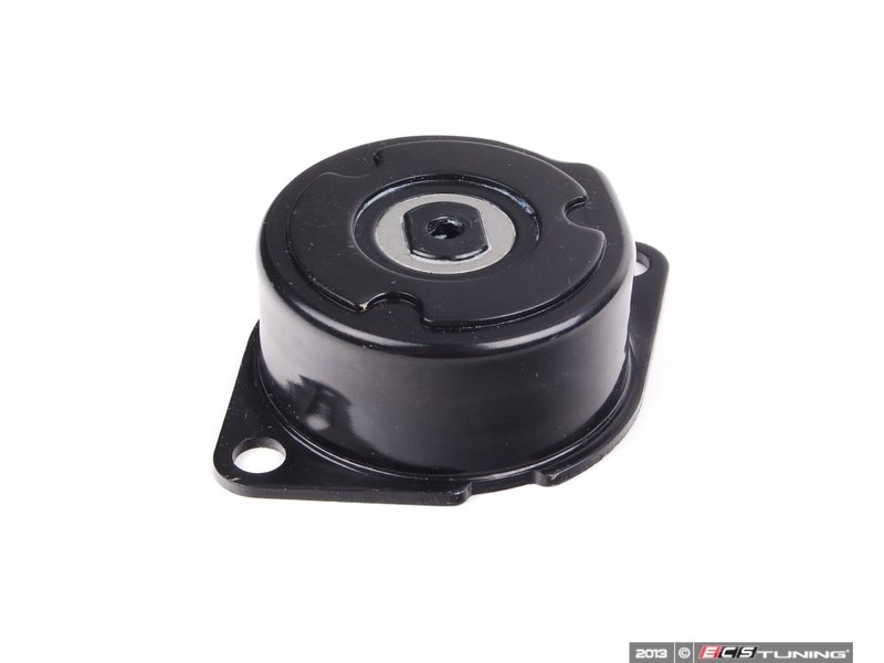 Ina - 028903315R - Accessory Belt Tensioner