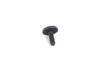 Genuine MINI - 07146959923 - Torx Bolt - Priced Each (07-14-6-959-923)