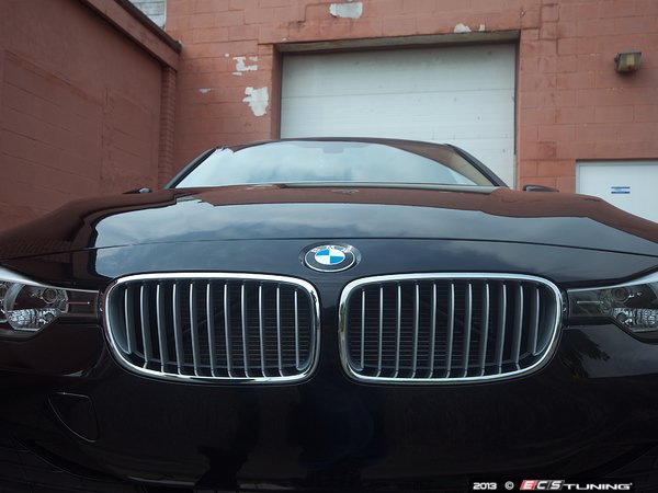 Genuine BMW - 51137263480 - Modern Line Kidney Grille - Right (51-13-7 ...