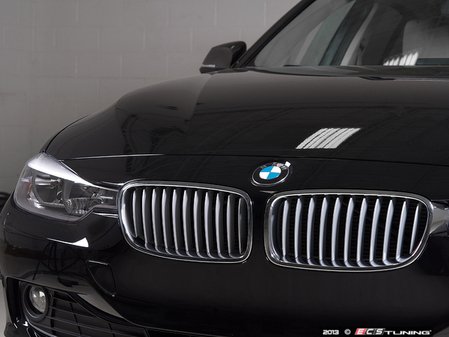 Genuine BMW - 51137263480 - Modern Line Kidney Grille - Right (51-13-7 ...