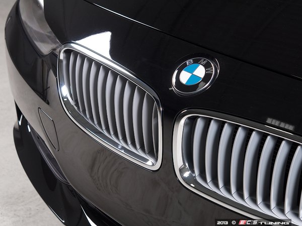 Genuine BMW - 51137263480 - Modern Line Kidney Grille - Right (51-13-7 ...