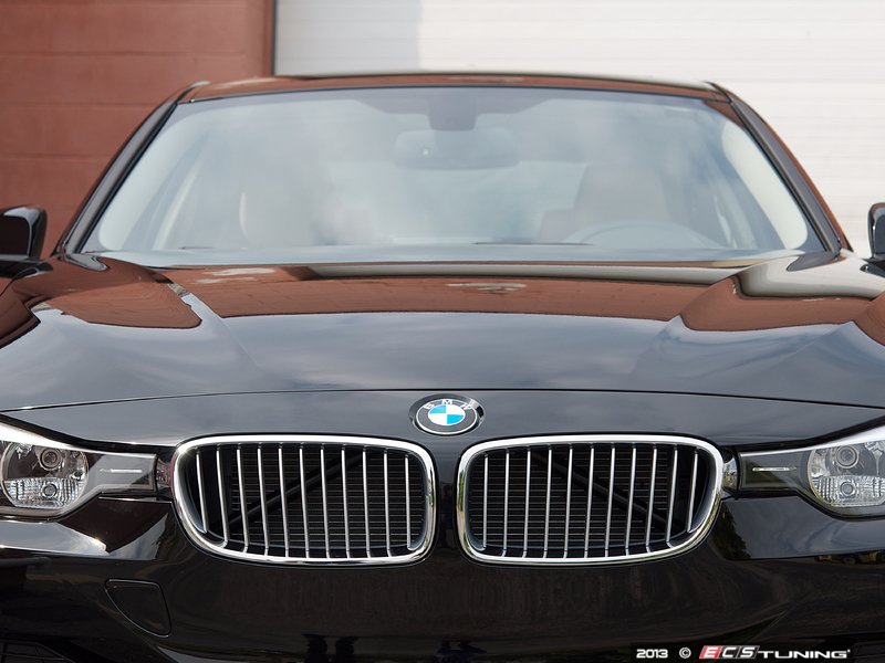 Genuine BMW - 51137263480 - Modern Line Kidney Grille - Right (51-13-7 ...