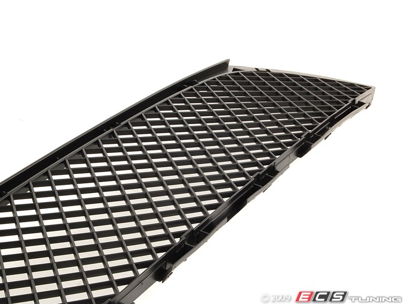 Genuine BMW - 51117893062 - Center Bumper Grille (51-11-7-893-062)