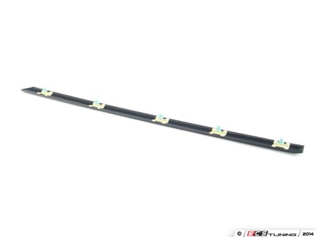 Genuine BMW - 51138159298 - Rear Door Moulding - Right (51-13-8-159-298)