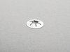 Genuine BMW - 52207115704 - Axial Securing Clip (52-20-7-115-704)