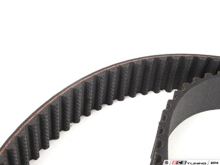 Continental - 03L109119F - Timing Belt