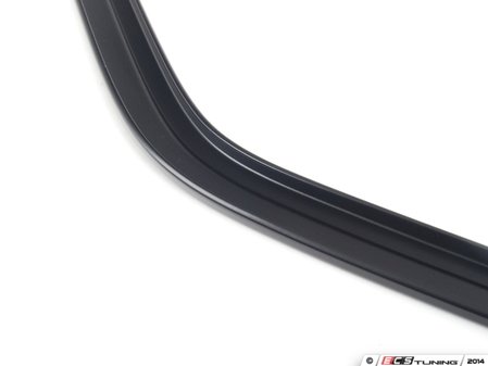 Genuine BMW - 51321961254 - Window Trim - Right (51-32-1-961-254)