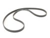 Genuine Volkswagen Audi - 022145933P - Accessory Belt (022 145 933 P)