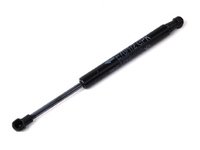 Genuine BMW - 51479149120 - Trunk Floor Cover Strut (51-47-9-149-120)