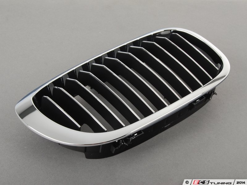 URO - 51137064318 - Kidney Grille - Right