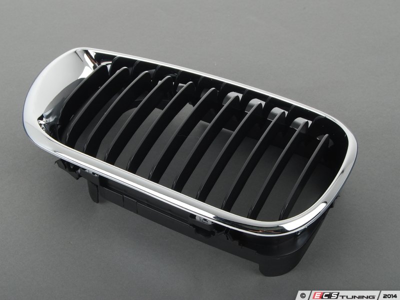 URO - 51137030546 - Kidney Grille - Right