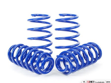 Racingline - VWR31G60R - VWR Sports Springs