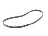 Genuine BMW - 11287631817 - Accessory Belt - (NO LONGER AVAILABLE) (11 ...
