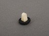 Genuine BMW - 65138387414 - Expanding Nut - Priced Each (65-13-8-387-414)