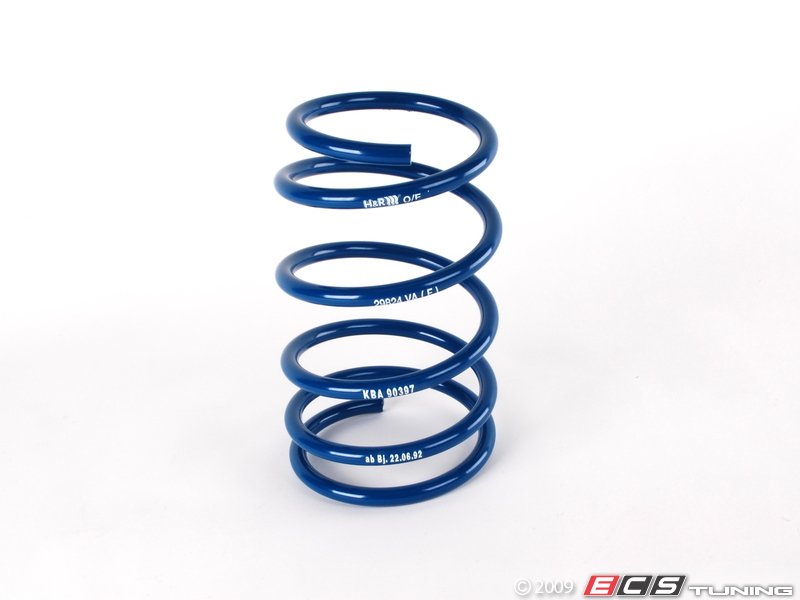 ECS News - BMW E36 325i/is H&R Lowering Springs