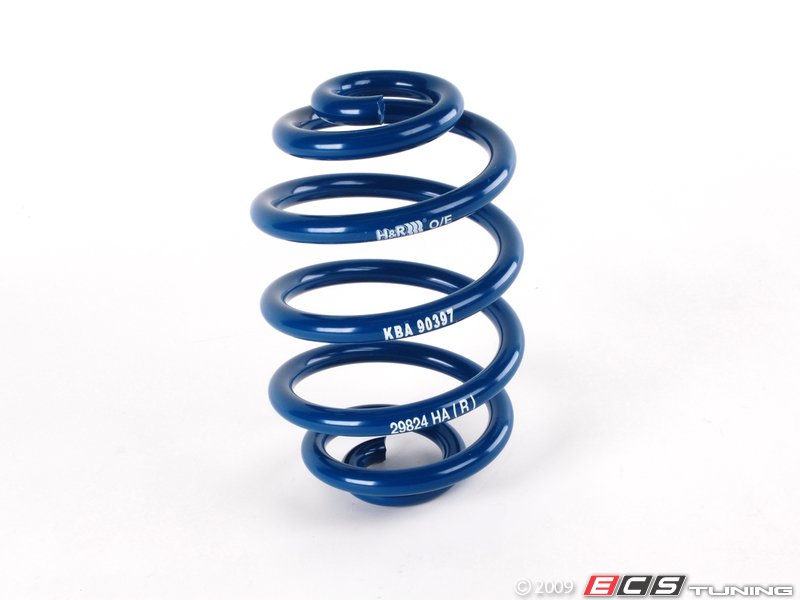 ECS News - BMW E36 325i/is H&R Lowering Springs