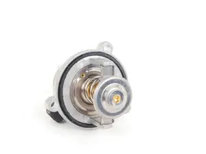 Genuine BMW - 51337445036 - LID WINDOW GUIDE B-P (51-33-7-445-036)