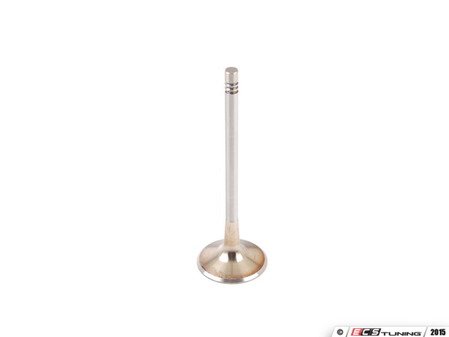 Rein - 06E109601E - Intake Valve - Priced Each - (NO LONGER AVAILABLE)