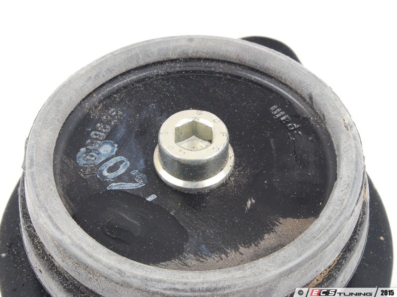 Rein - 1H0199262B - Engine Mount - Rear