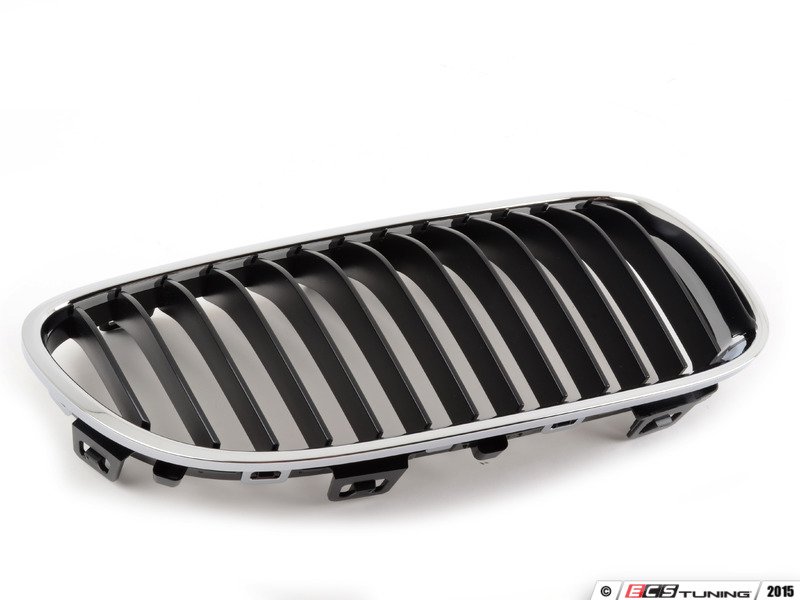 Genuine BMW - 51137254968 - grille - right (51-13-7-254-968)