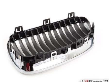 Genuine BMW - 51137254968 - grille - right (51-13-7-254-968)