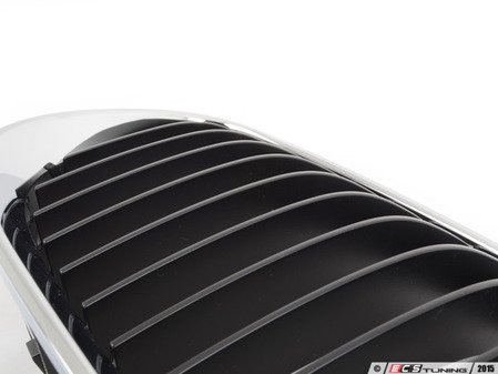 Genuine BMW - 51137254968 - grille - right (51-13-7-254-968)