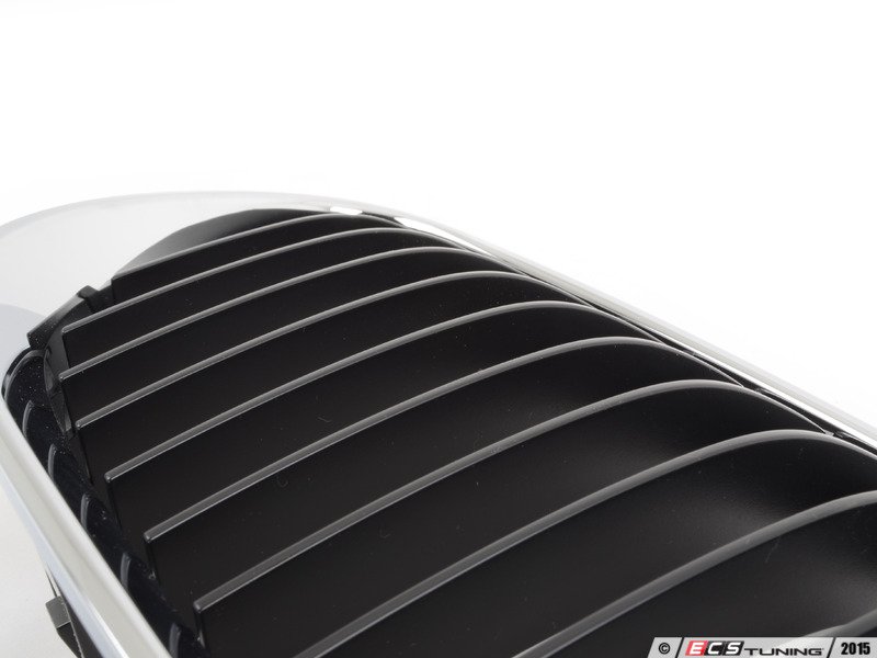 Genuine BMW - 51137254968 - grille - right (51-13-7-254-968)
