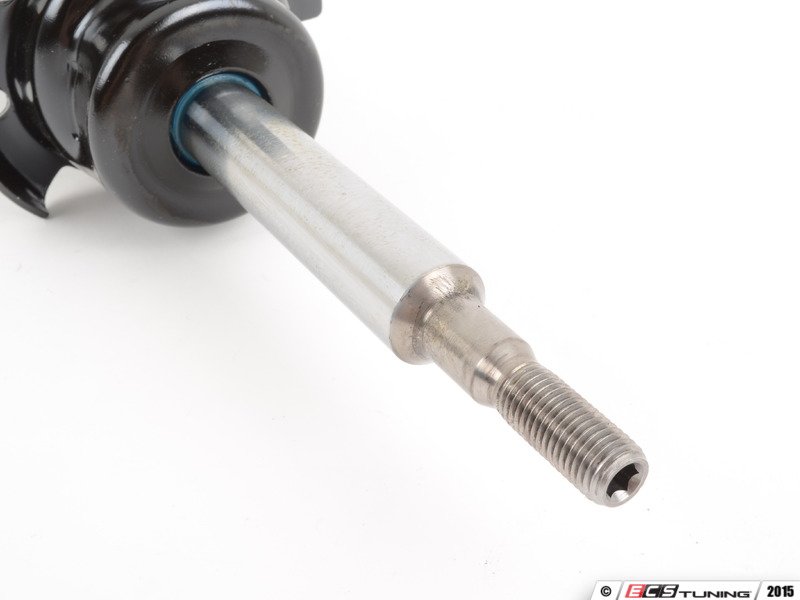 Genuine BMW - 31316796160 - Front Strut - Right (31-31-6-796-160)