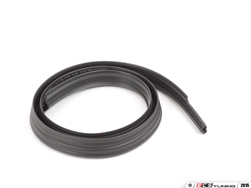 Genuine Volkswagen Audi - 8T0854543E - Roof Moulding - Left (8T0 854 543 E)