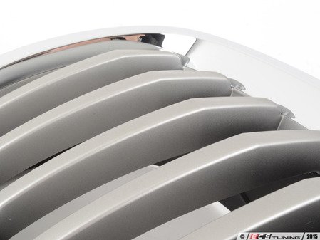 Genuine BMW - 51137307599 - Front Grille - left (51-13-7-307-599)