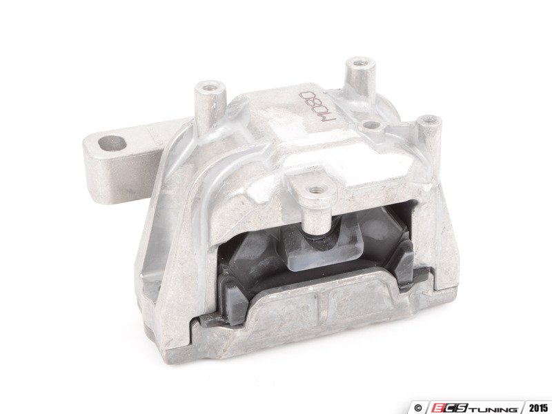 Rein - 1K0199262CB - Engine Mount - Right