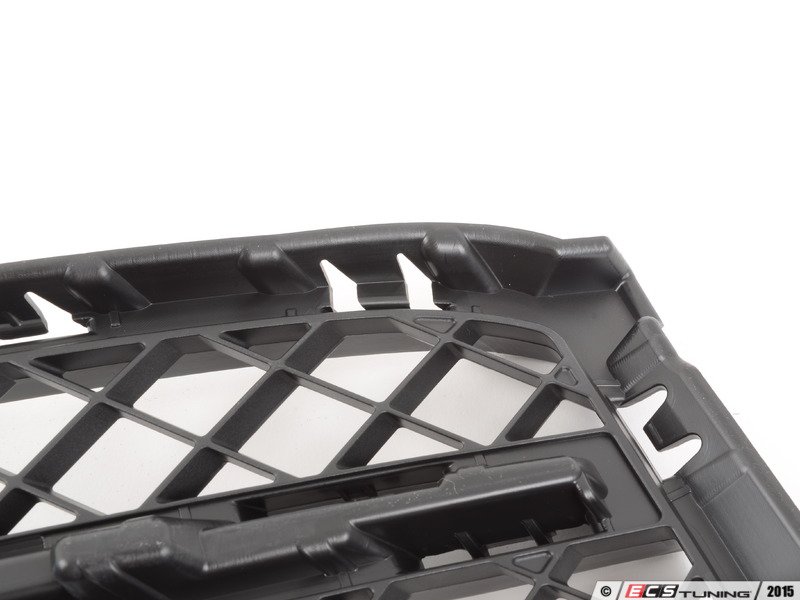 Genuine BMW - 51117303758 - GRID, RIGHT (51-11-7-303-758)