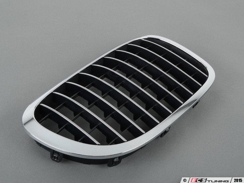 Genuine BMW - 51137203198 - Grille - Front - Right (51-13-7-203-198)