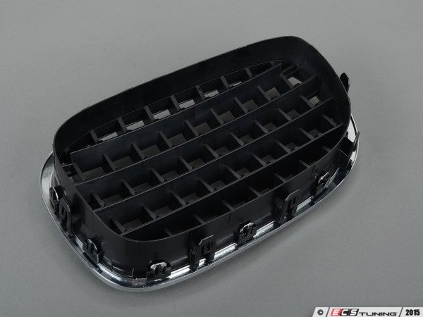 Genuine BMW - 51137203198 - Grille - Front - Right (51-13-7-203-198)