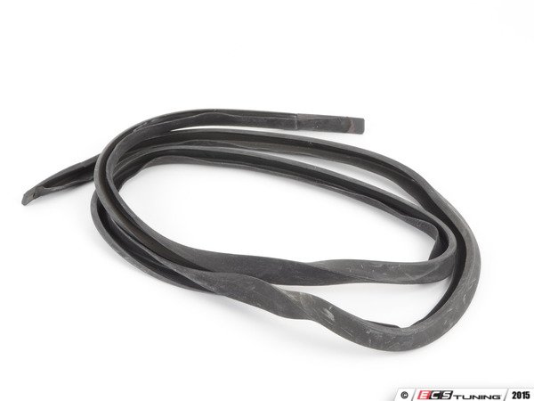 Rein - 1137900083 - Hard Top Seal - Rear