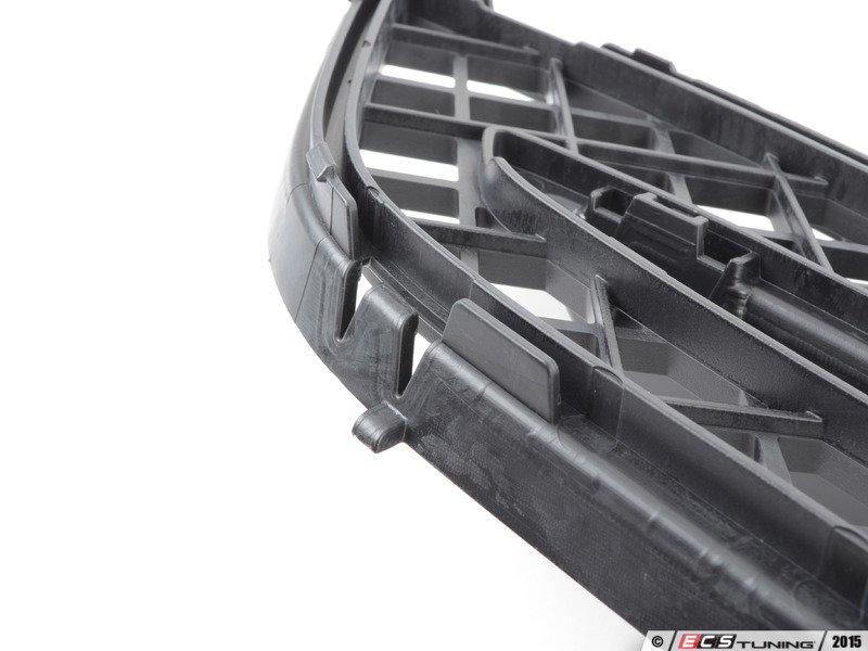 Genuine BMW - 51117303753 - GRID, CENTER (51-11-7-303-753)